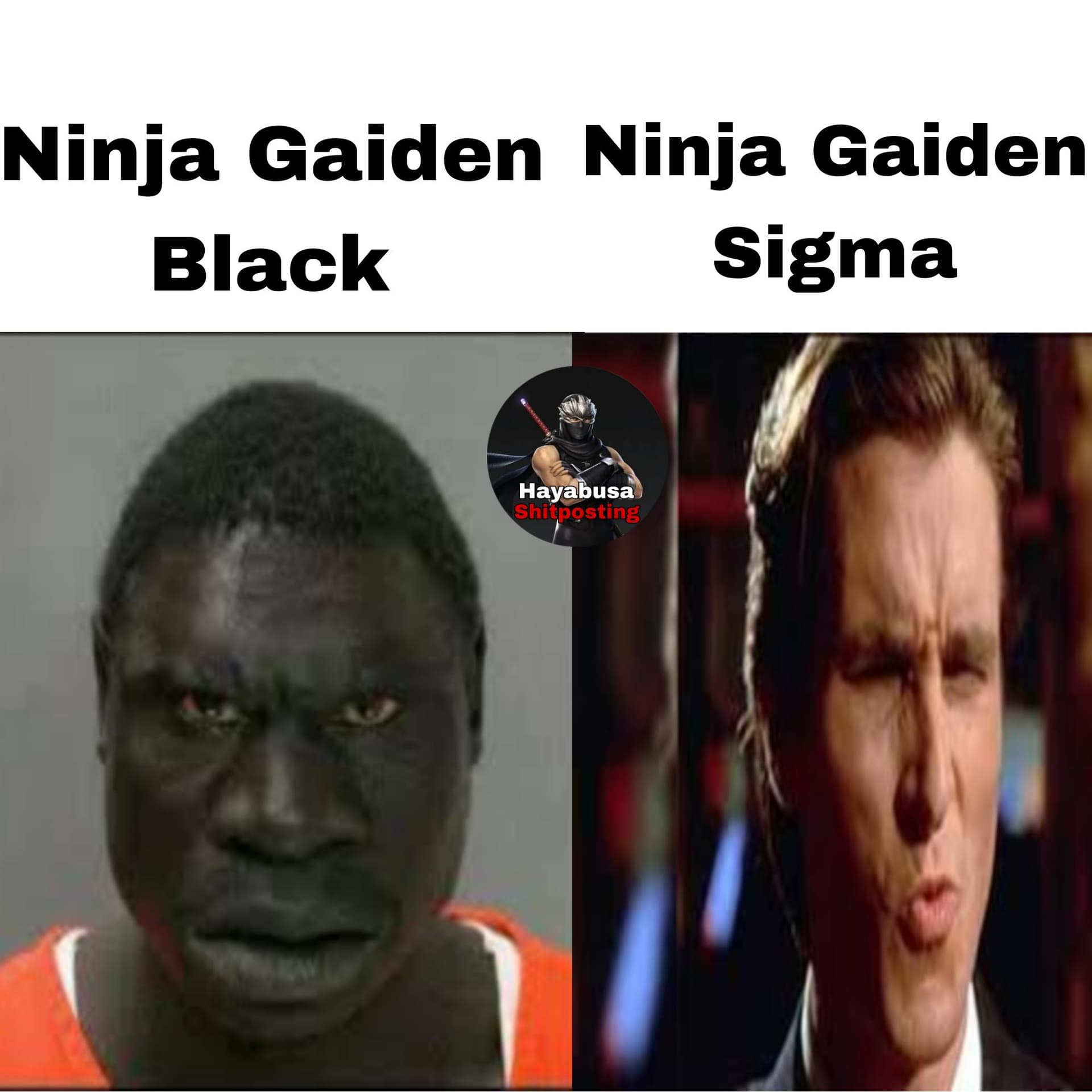 NEW GAME BASED OFF: Ninja gaiden sigma - Game Updates & Announcements ...